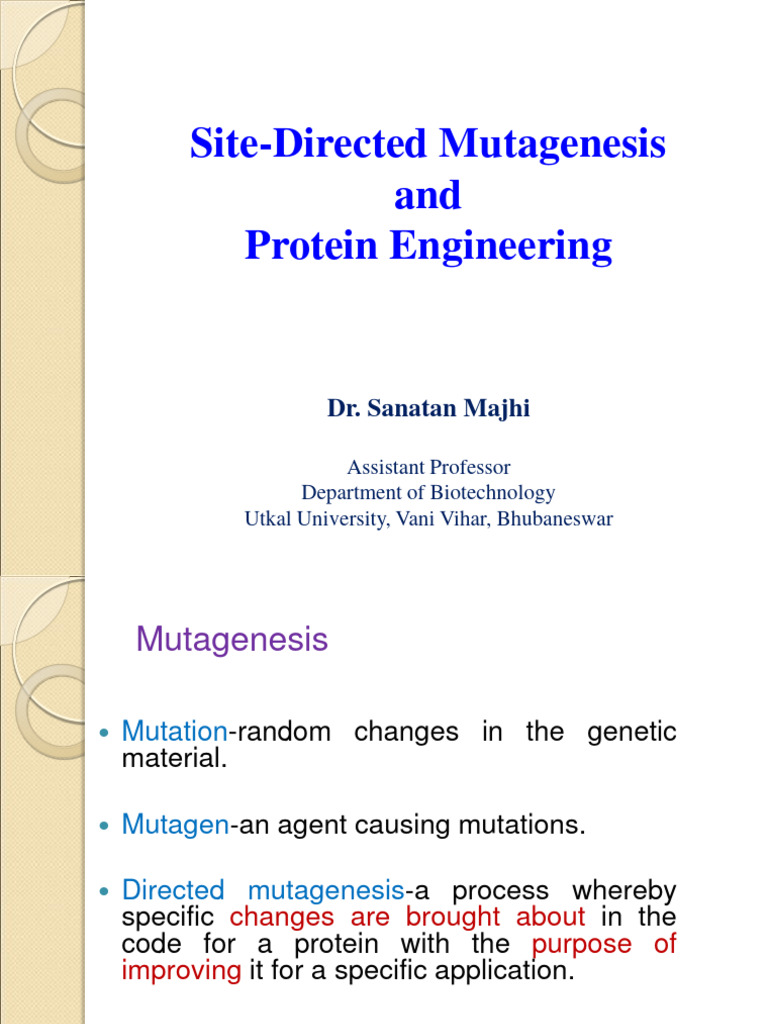 Site Directed Mutagenesis | PDF | Molecular Cloning | Polymerase Chain ...