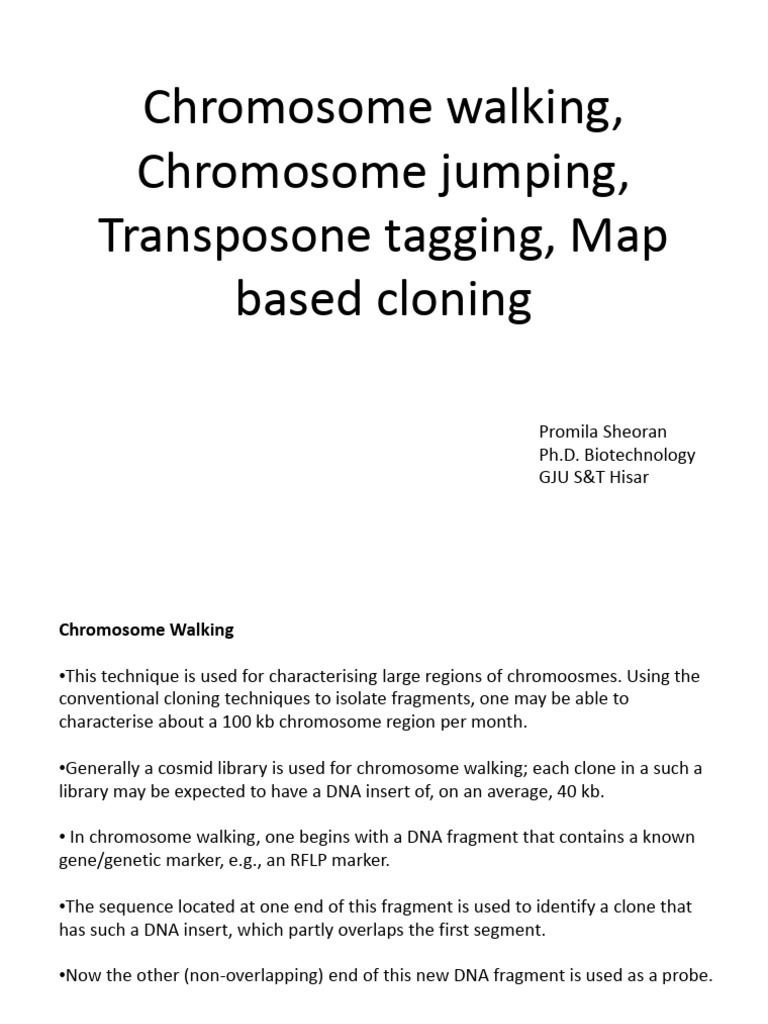 Chromosome Walking Jumping | PDF | Transposable Element | Molecular Cloning