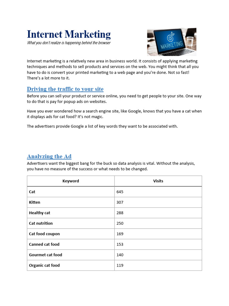 Understanding Internet Marketing Basics | PDF