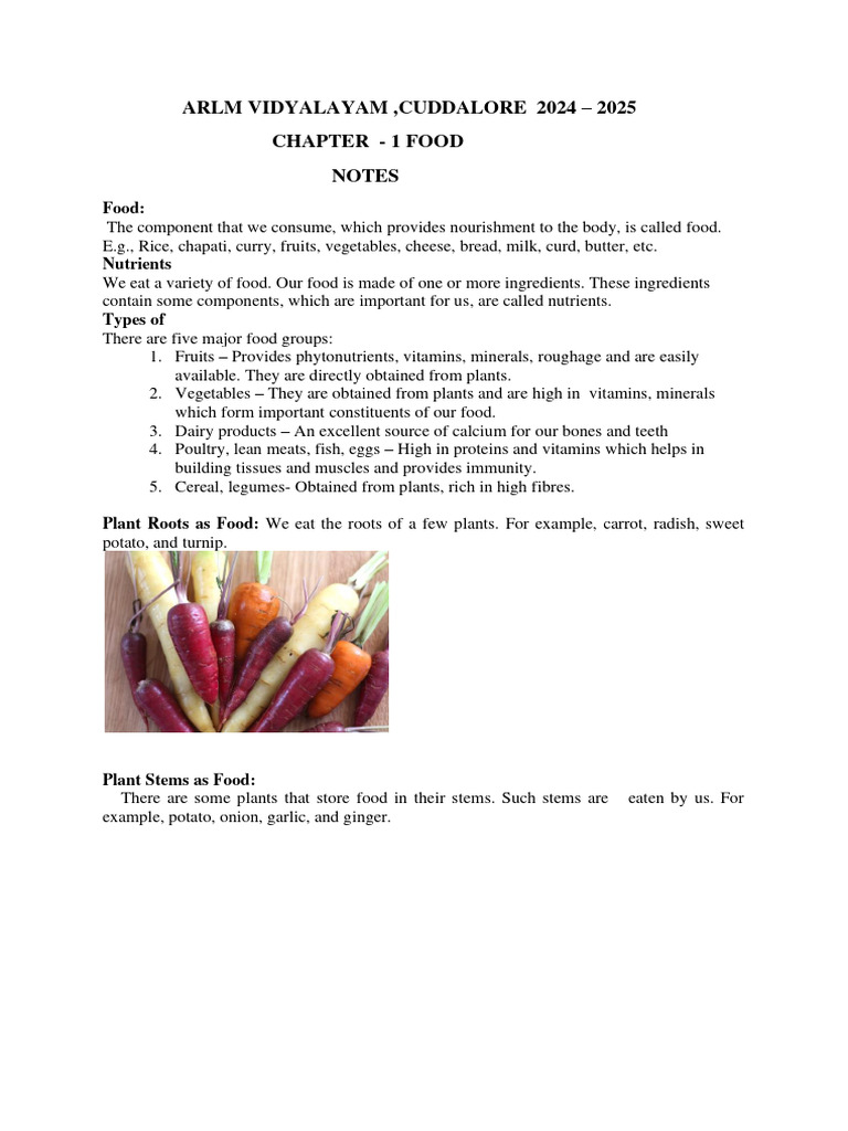 Grade 6 Food Notes | PDF | Foods | Malnutrition