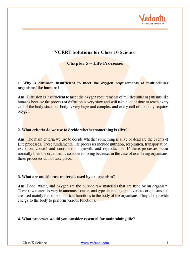 NCERT Solutions For Science Chapter 5 Life Processes Class 10 FREE PDF ...