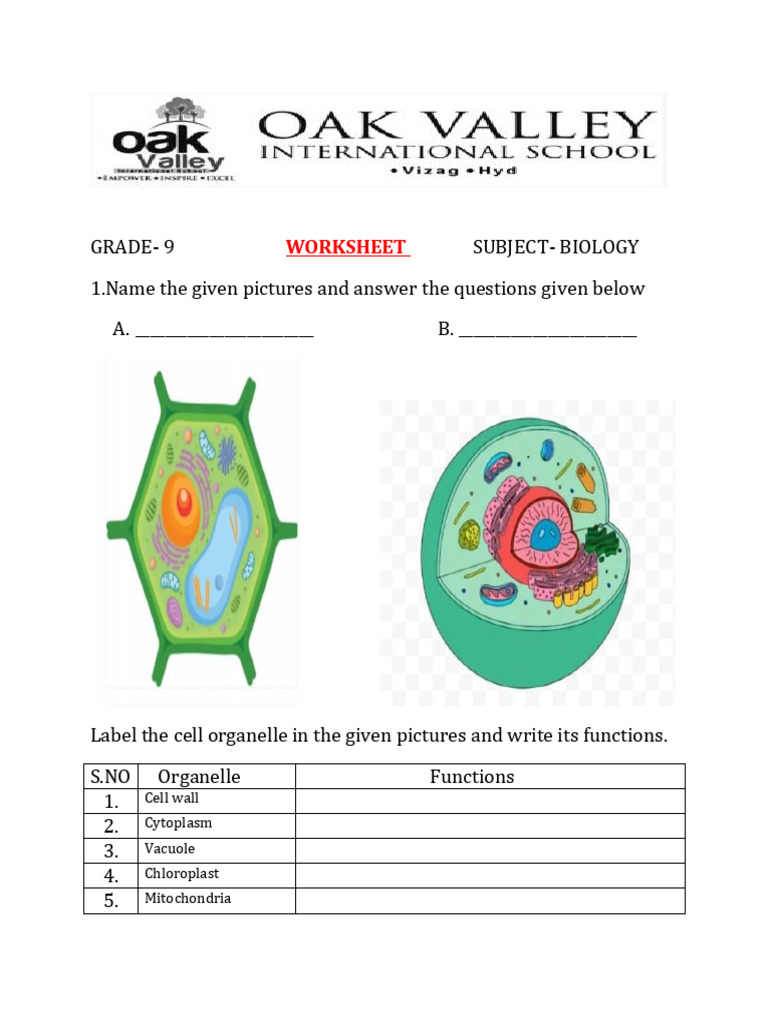 Grade 9 Biology Woksheet | PDF | Career & Growth