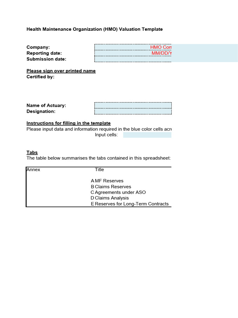 CL20202 100 HMO Valuation Template | PDF | Financial Services | Economies