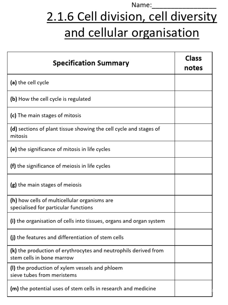 A Level Bio 2.1.6 Cell Devision and Diversity | PDF | Mitosis | Meiosis
