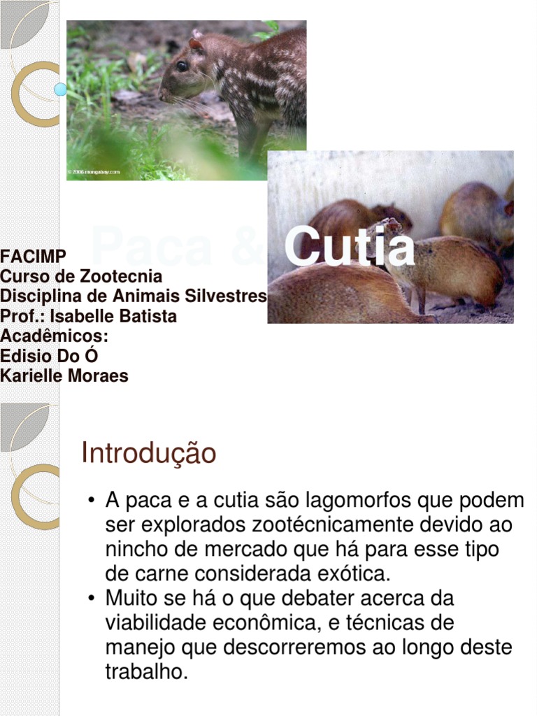 Paca e Cutia | PDF | Natureza
