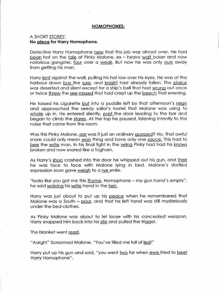 Homophones Harry Activity | PDF