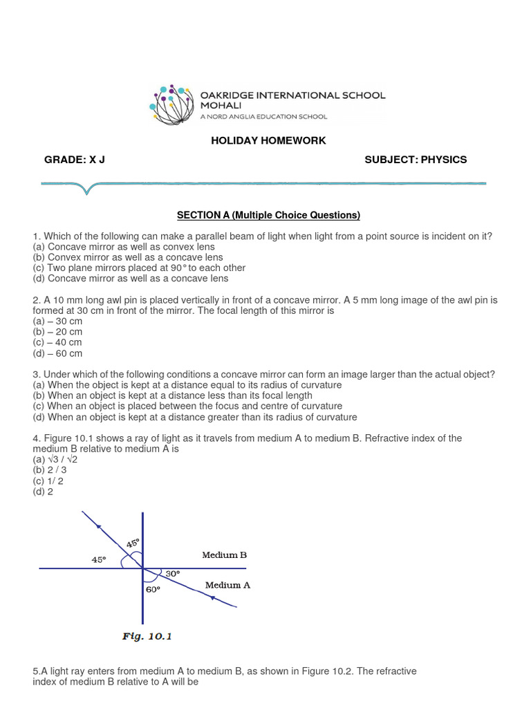 Grade X Physics Holiday Homework | PDF | Electrodynamics | Glass ...