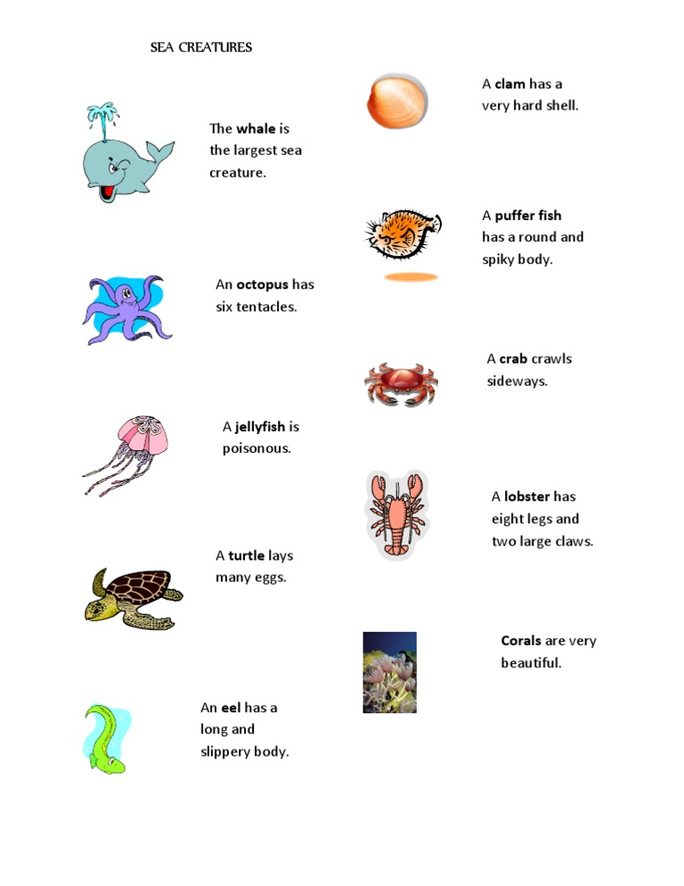 Fascinating Facts About Sea Creatures | PDF