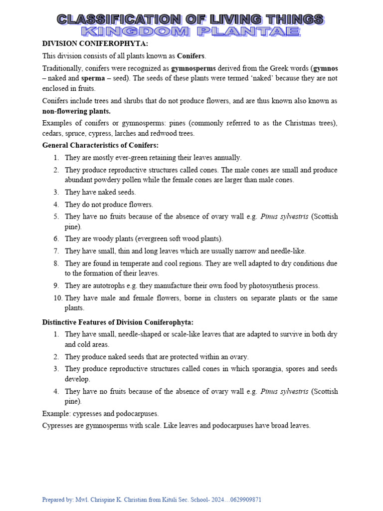 CLASSIFICATION FORM 3-2024 | Download Free PDF | Seed | Flowers