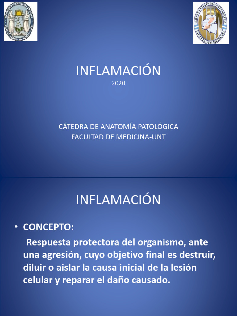 INFLAMACION 2020 | PDF | Inflamación | Citocina