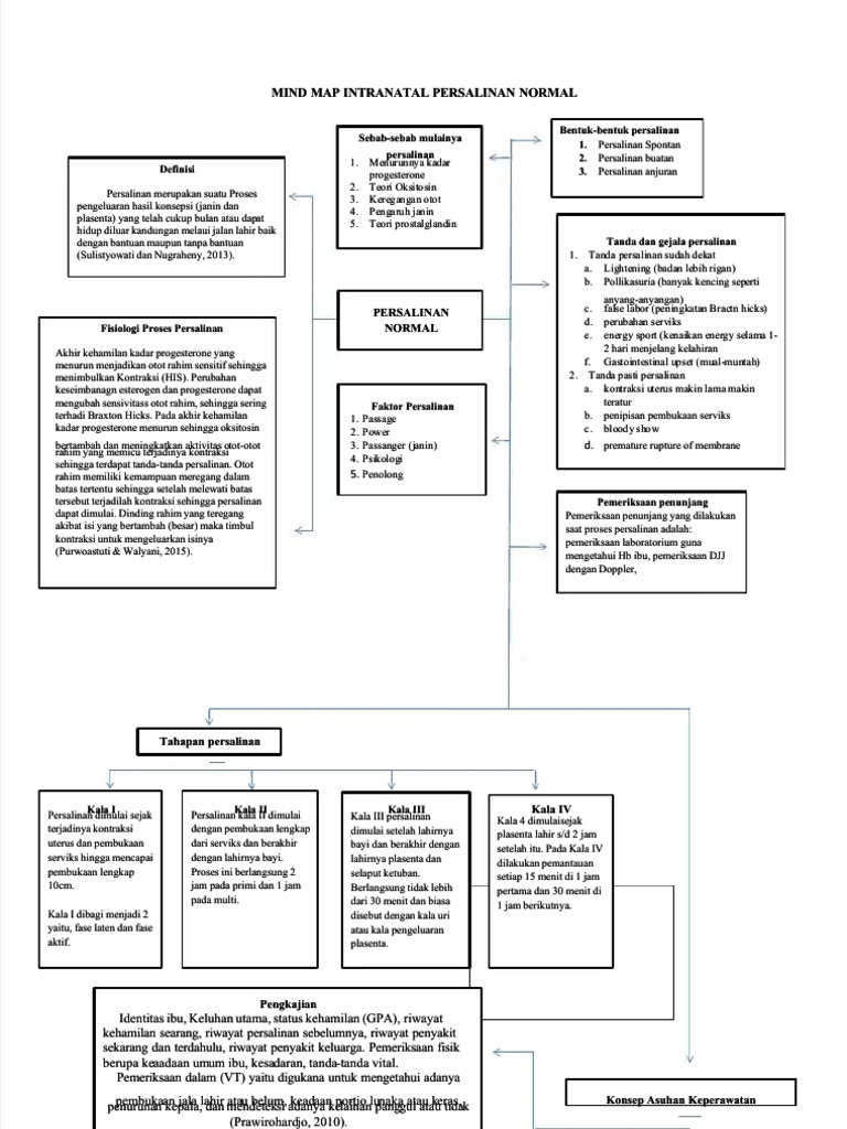 PDF Mind Map Intranatal Persalinan Normal Compress (1) | PDF