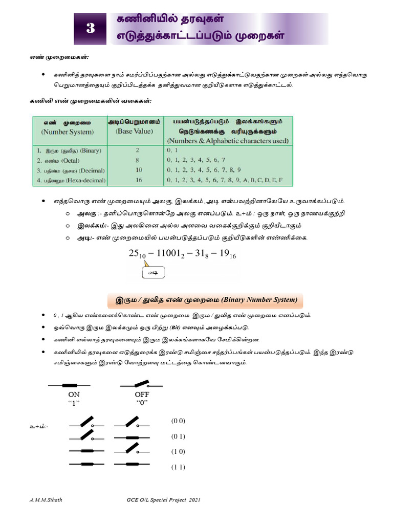 ICT Grade 10 Unit -03 Numbering Part 1 | PDF