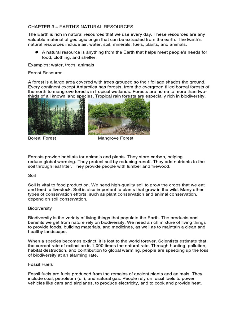 CHAPTER 3 ENvironmental Conservation | PDF | Petroleum | Fuels