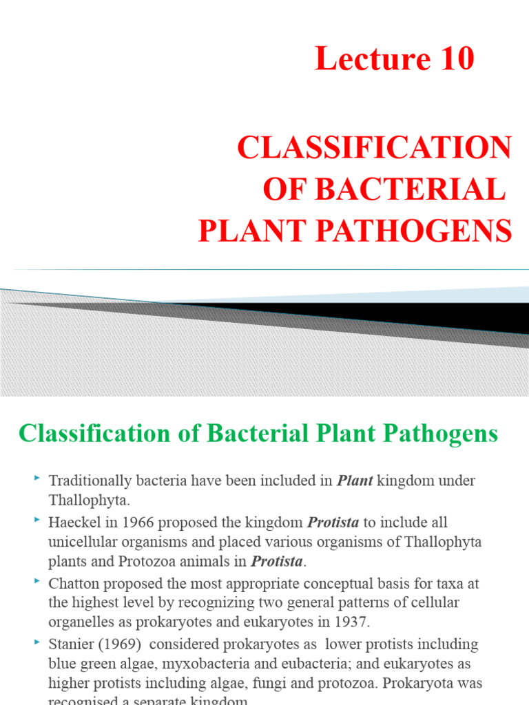 Classification of Plant Pathogenic Bacteria | PDF | Bacteria | Prokaryote