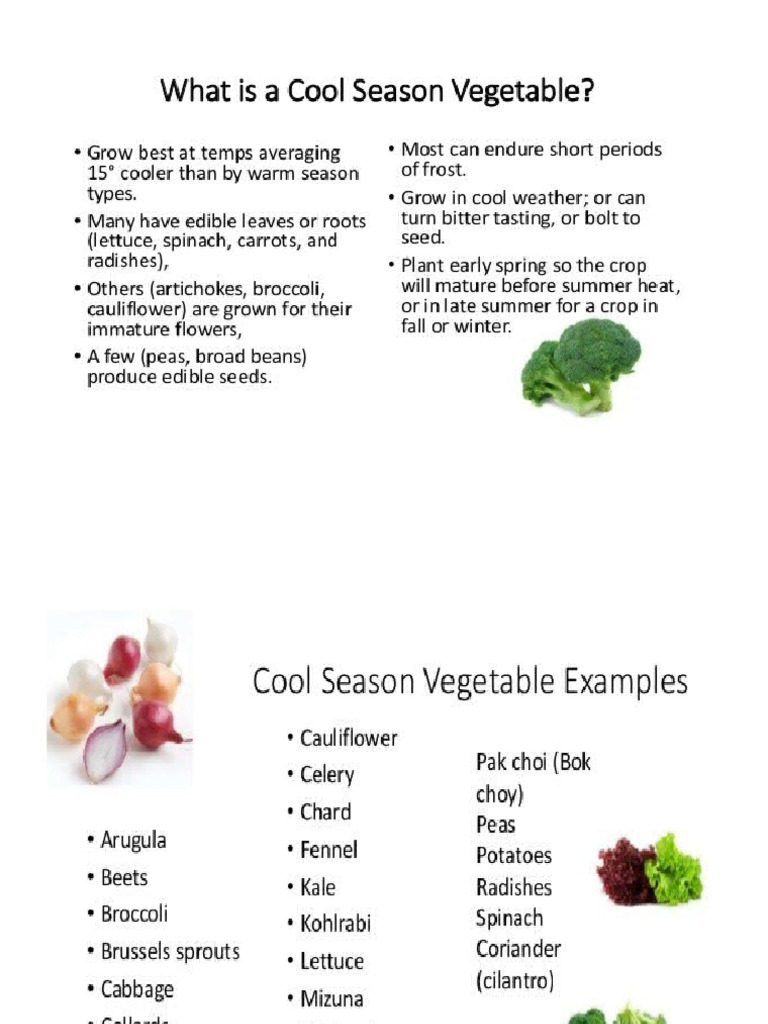 Cool Season Vegetable | PDF | Dietary Fiber | Diet & Nutrition