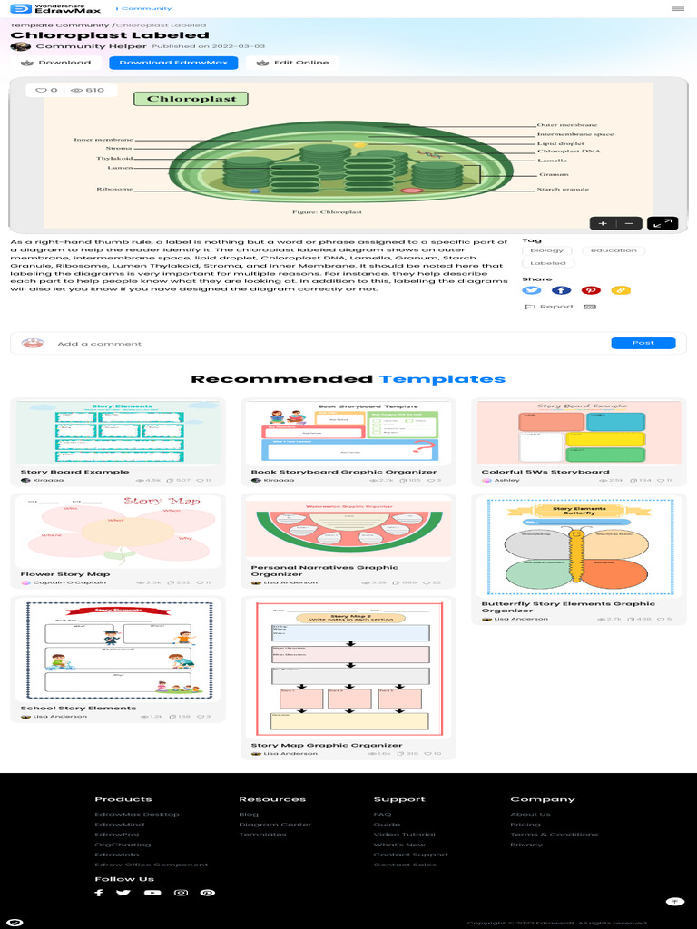 Chloroplast Labeled EdrawMax Template | PDF | Chloroplast | Cell Biology