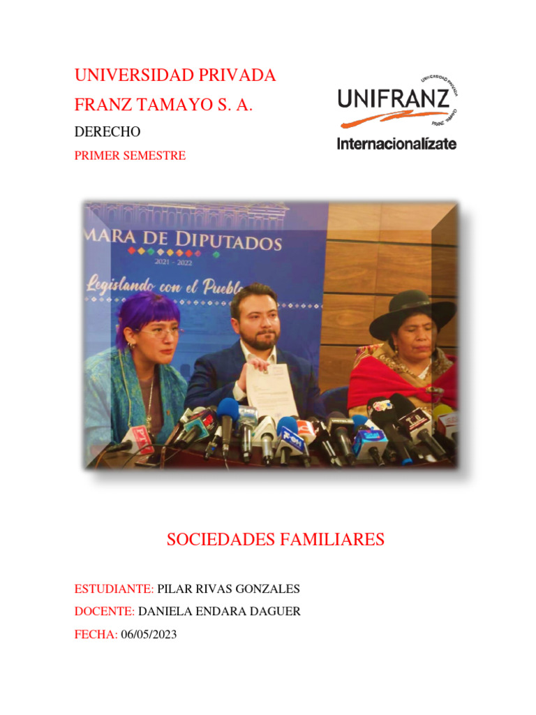 Sociedades Familiares | PDF | Business | Bolivia