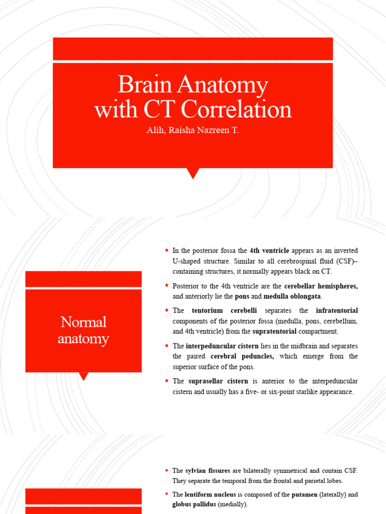 Radiology Brain Anatomy On CT | PDF | Anatomy | Cerebrum