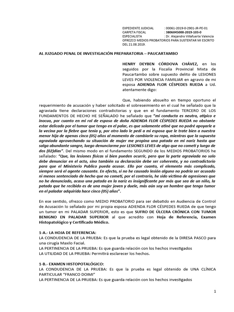 Escrito Ofreciendo MP HENRY | PDF | Derecho