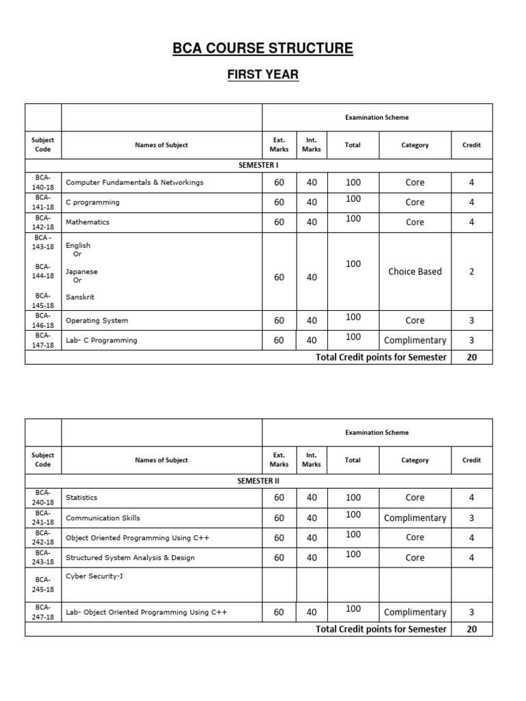 BCA (Specialization in Cyber Security) Course Structure | PDF ...