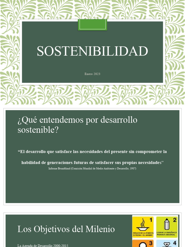 1°taller Sostenibiliad - ODS | PDF | Sustentabilidad | Desarrollo sostenible