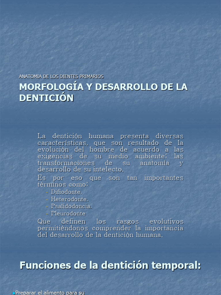 MORFOLOGÍA Y DESARROLLO DE LA DENTICIÓN | Descargar gratis PDF | Diente ...