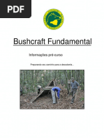 Escala Internacional de Eficácia de Quedas (FES-I) | PDF