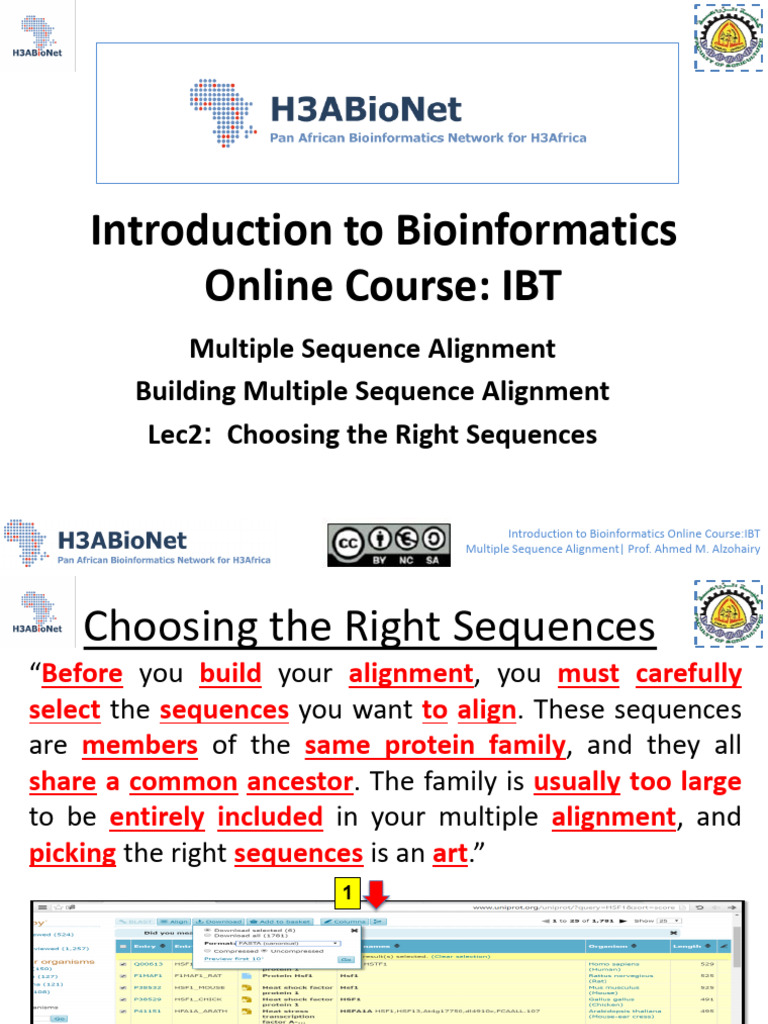 Lec2 Choosing The Right Sequences 2024 | PDF | Sequence Alignment | Bioinformatics