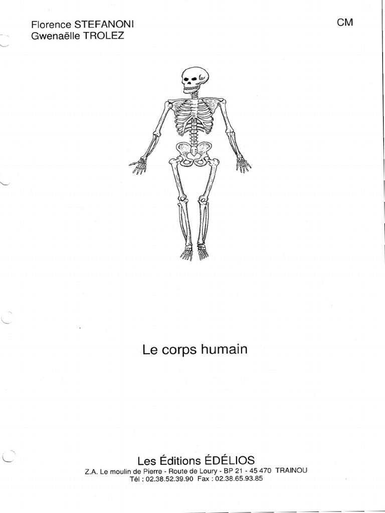 Sciences Le Corps Humain | PDF | Dent | Dent humaine