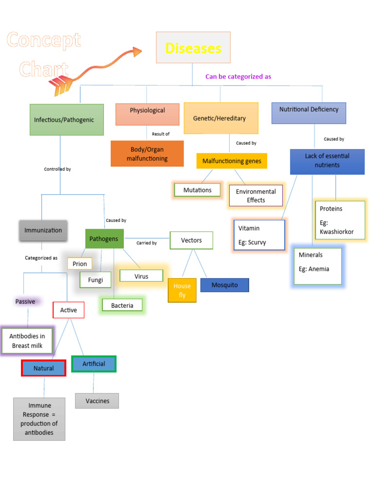 Sample Final Project 3rd Bio | PDF | Lung | Respiratory System