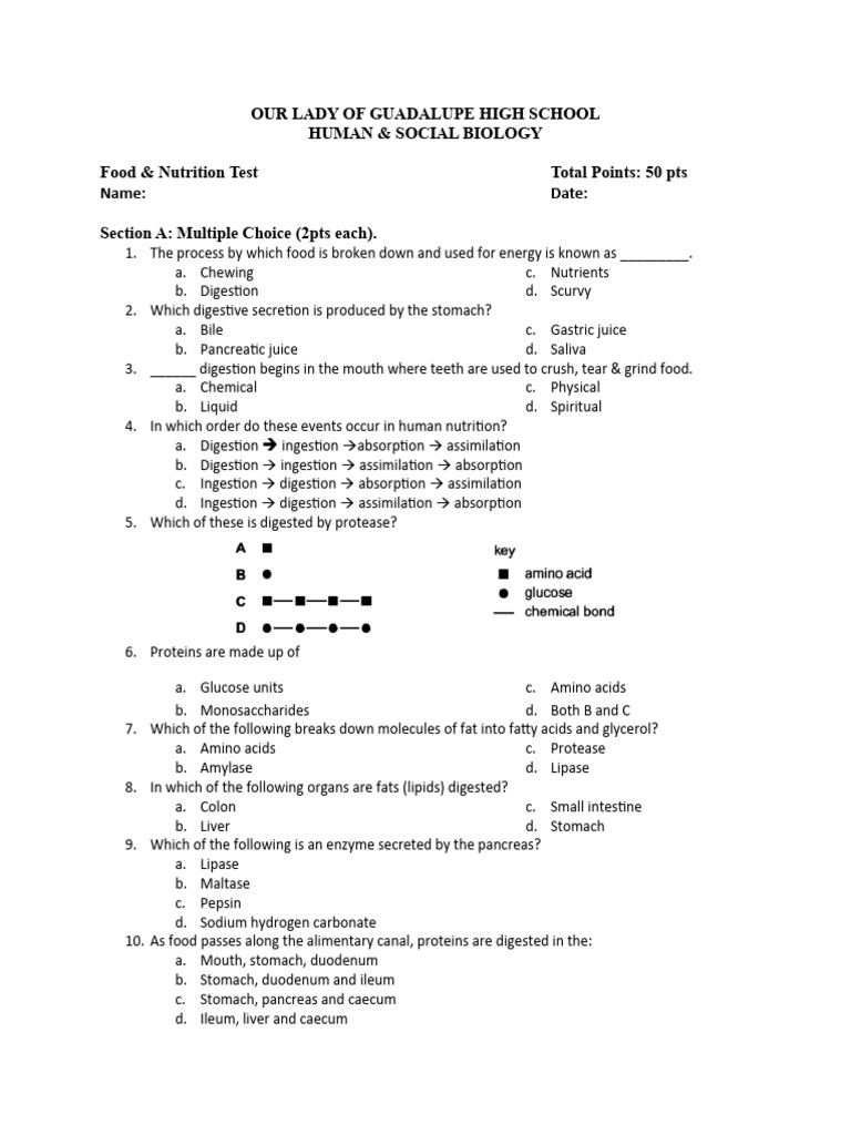 3rd HSB test nutrition | PDF | Digestion | Stomach