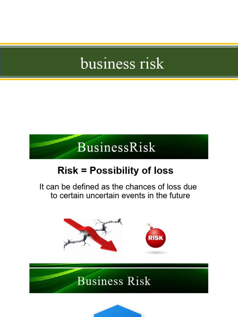 Business Risk | PDF | Risk | Economics