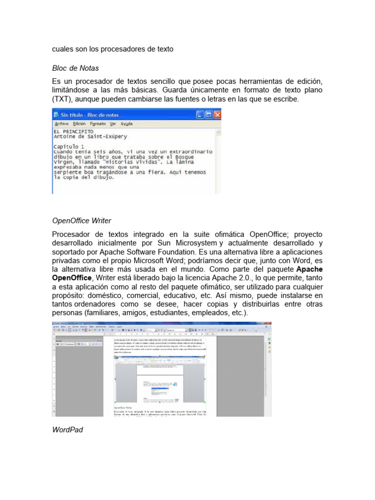 Cuales Son Los Procesadores de Text1 | PDF | Procesador de textos | Software de la aplicacion
