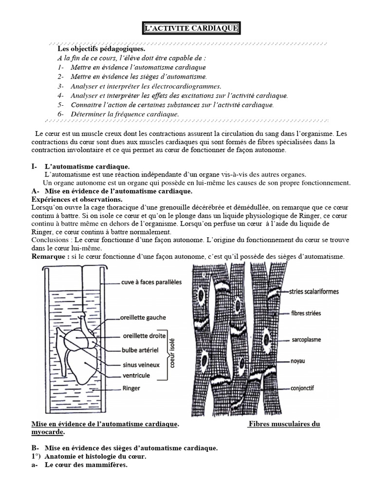 Automatisme et électrocardiogramme cardiaque | PDF | Cœur | Système ...