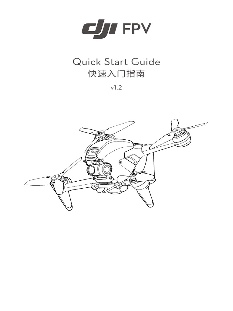 DJI FPV Quick Start Guide | PDF