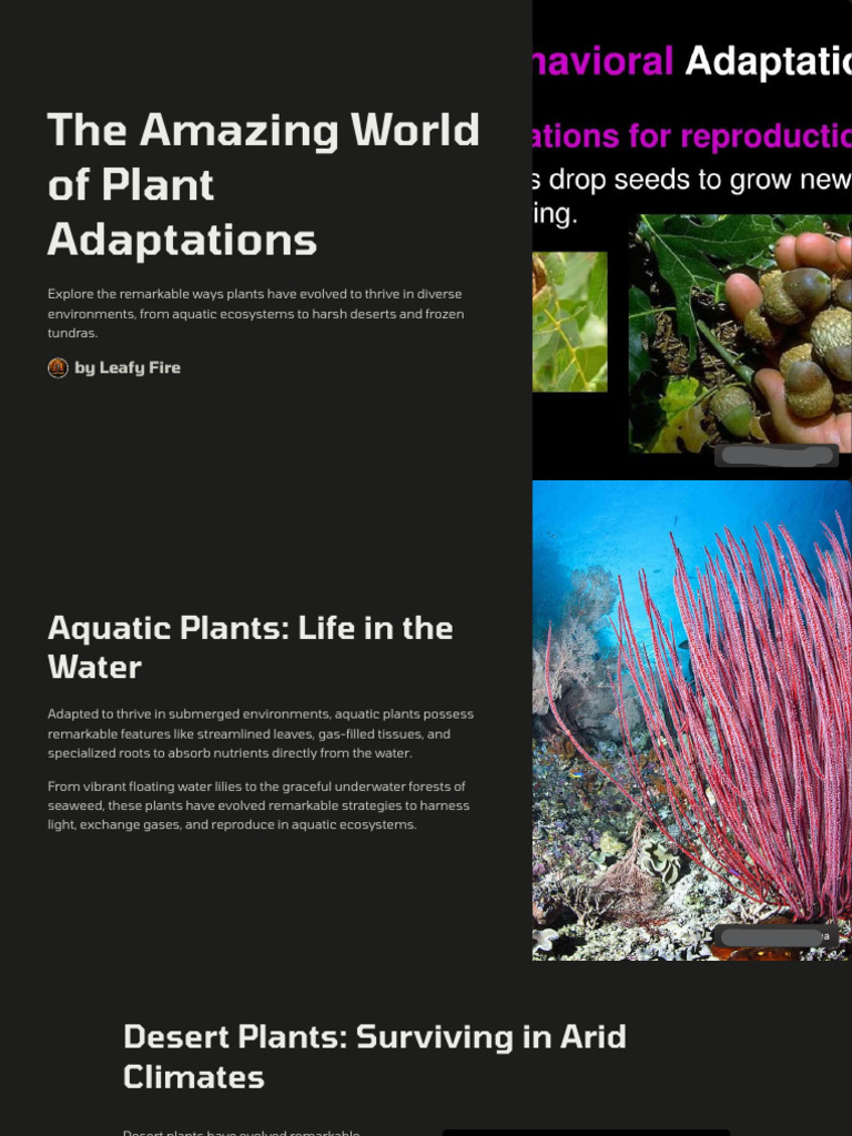 The Amazing World of Plant Adaptations | PDF | Leaf | Plants