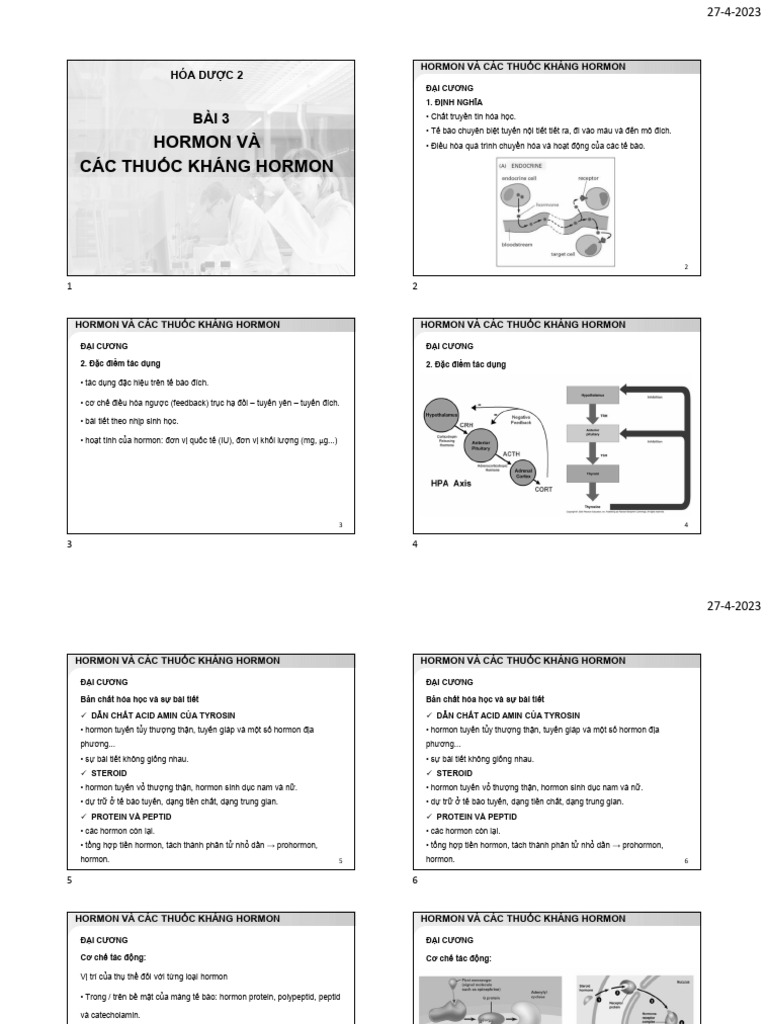 Bài 3. Hormone | PDF