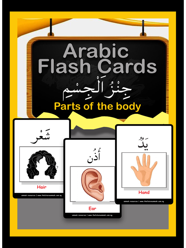 Arabic Flash Cards Body Parts | PDF