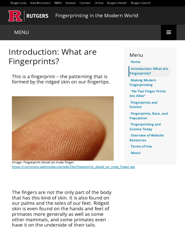 Introduction to Fingerprints | PDF | Fingerprint | Security Technology