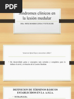 Escala ASIA: Clasificación de Lesiones Medulares | PDF