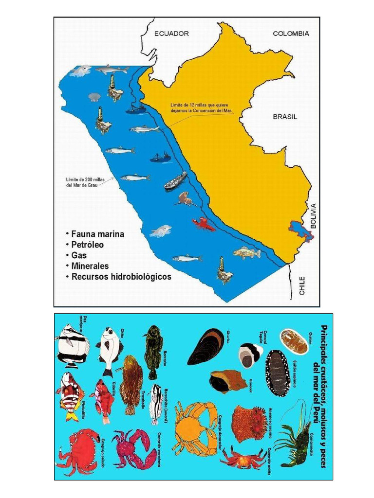 Tarea Nico Costa y Animales | PDF