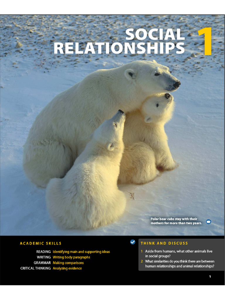 Qwer | PDF | Chimpanzee | Aggression