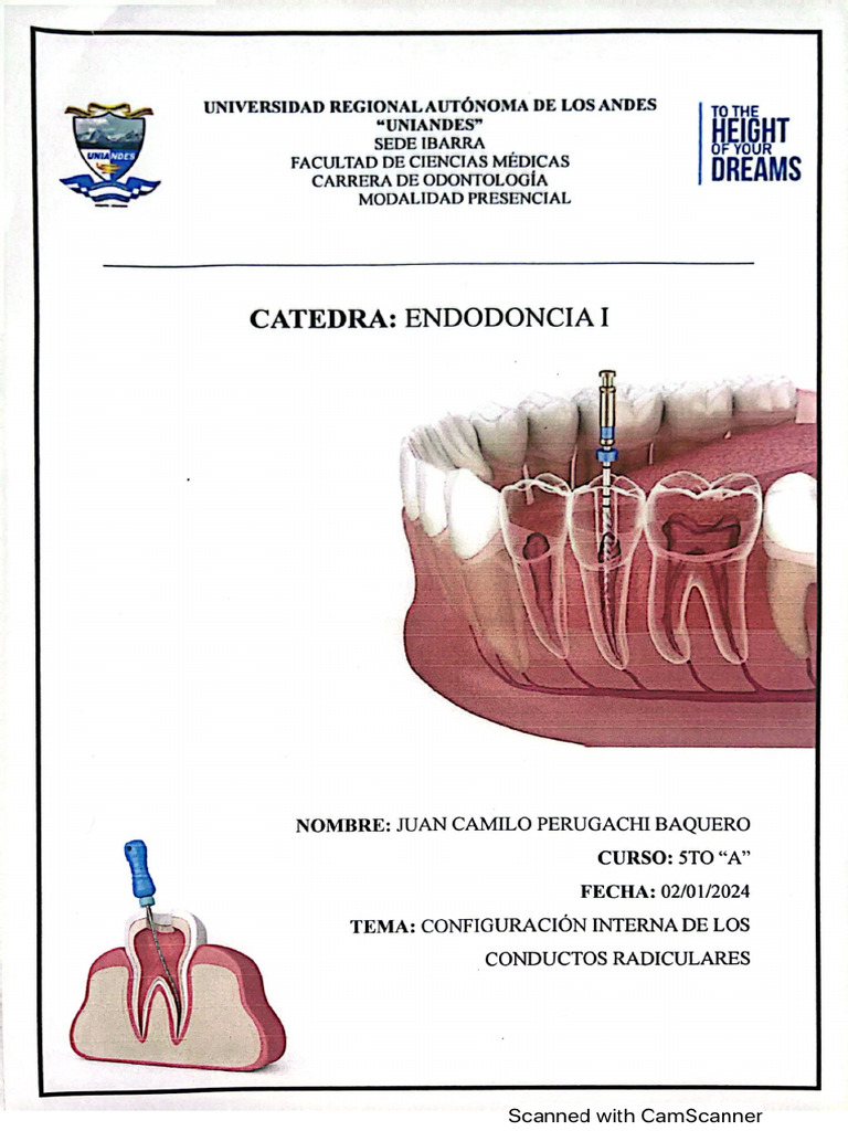 Unidad 2 Tarea 4 Configuración Interna De Los Conductos Radiculares Y ...
