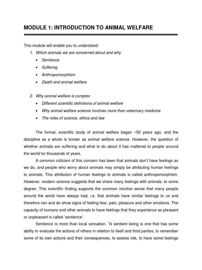 Understanding Animal Welfare Science | PDF | Animal Welfare | Feeling