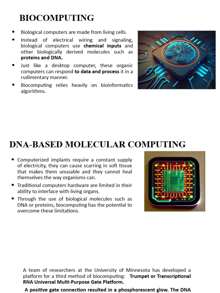 Biocomputing (21be45) | PDF | Bioinformatics | Brain