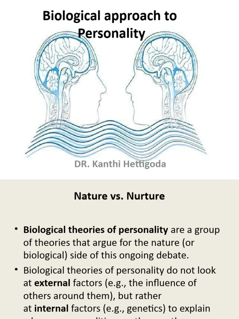 Biological Approach of Personality | PDF | Extraversion And ...