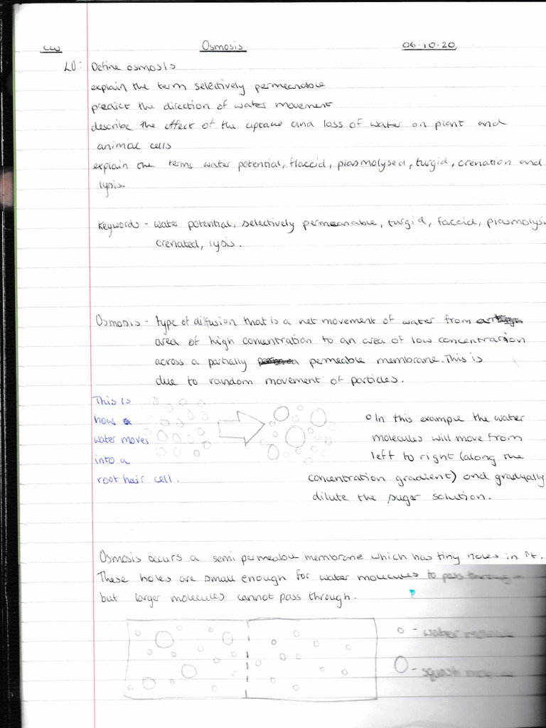 OSMOSIS | PDF