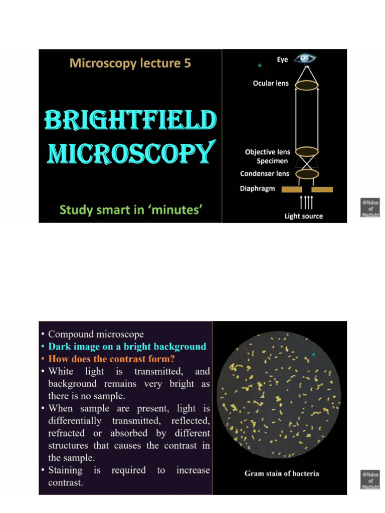 Microscopy Histo Pdf
