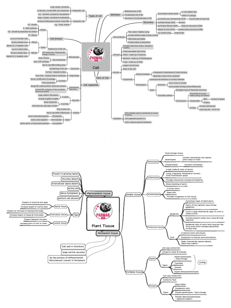 Biology Mind Maps (English) | PDF | Tissue (Biology) | Cell (Biology)