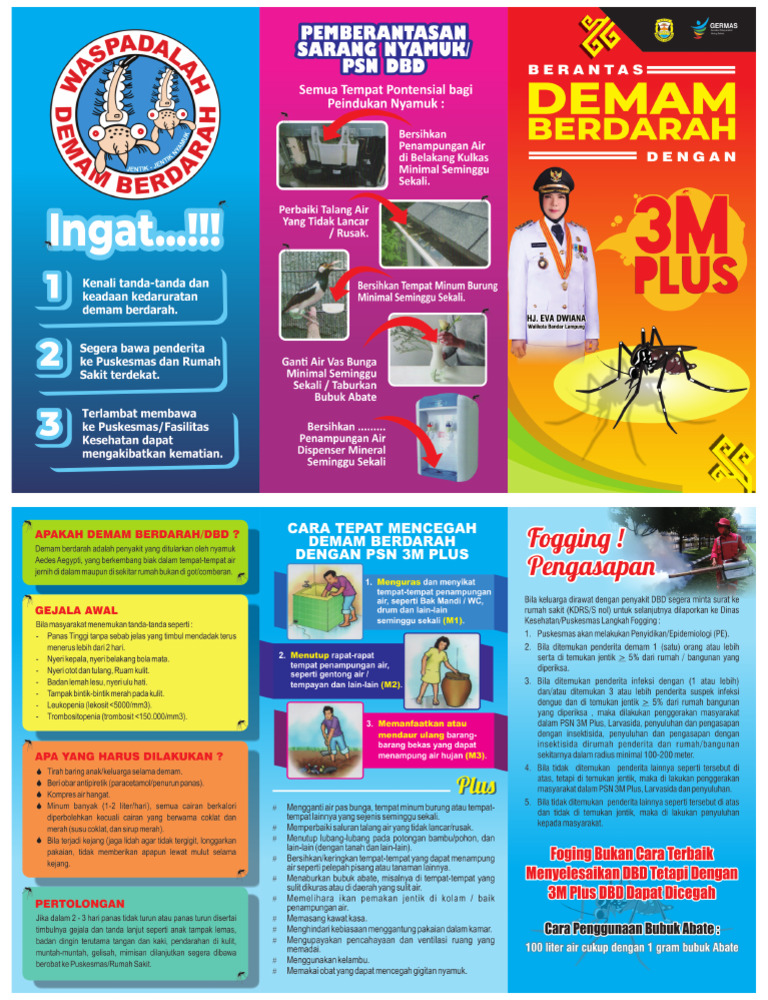 4 - Leaflet Demam Berdarah | PDF